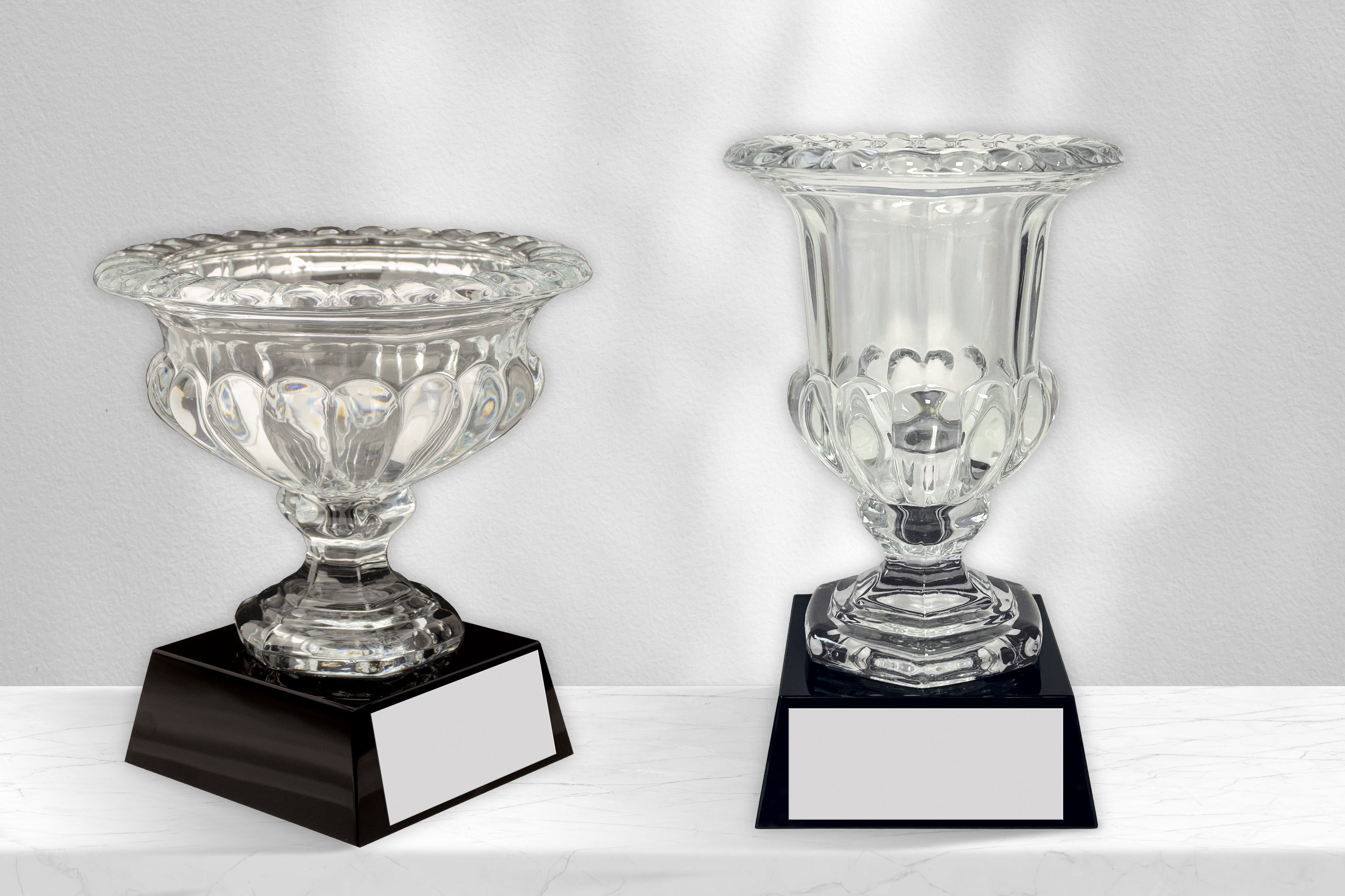 Custom Engraved Optical Crystal Trophies for Your Top Performers