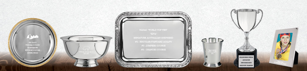Silver Awards – Hodges Badge