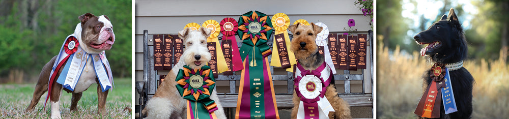 Custom Dog Show Ribbon Awards – Hodges Badge Company