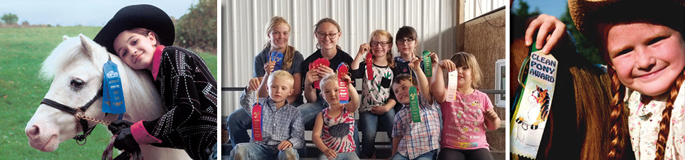 Fair Ribbons, Festival & 4-H Trophies & Awards - Hodges Badge Company