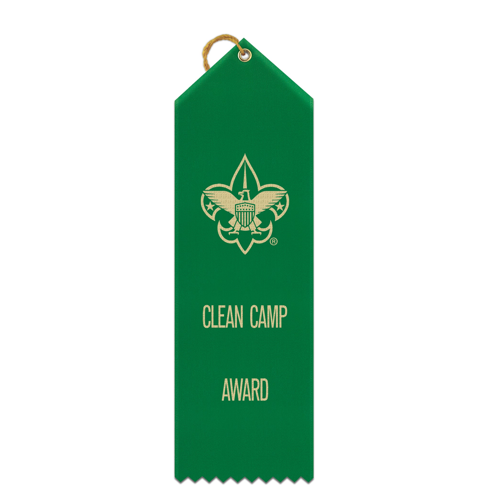 Point Top Award Ribbon | Hodges Badge