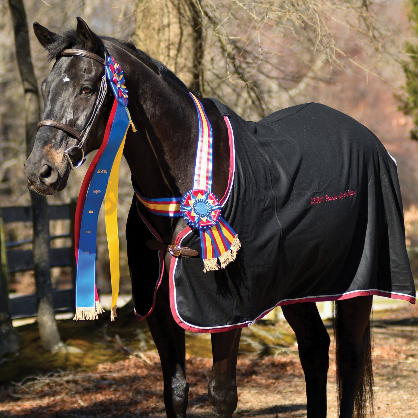 Richmond Award Sash | Award Sashes