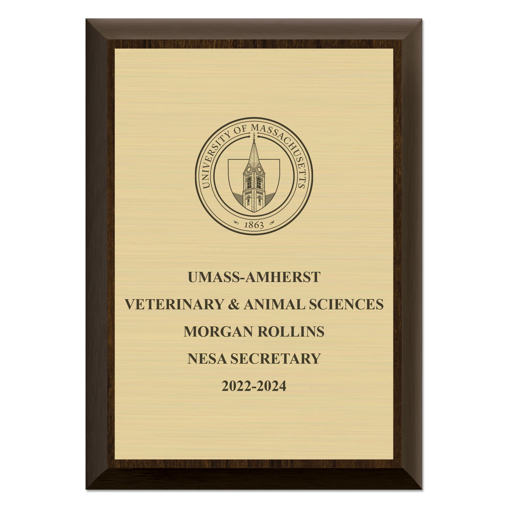 Custom Engraved Plaques | Personalized Award Plaques